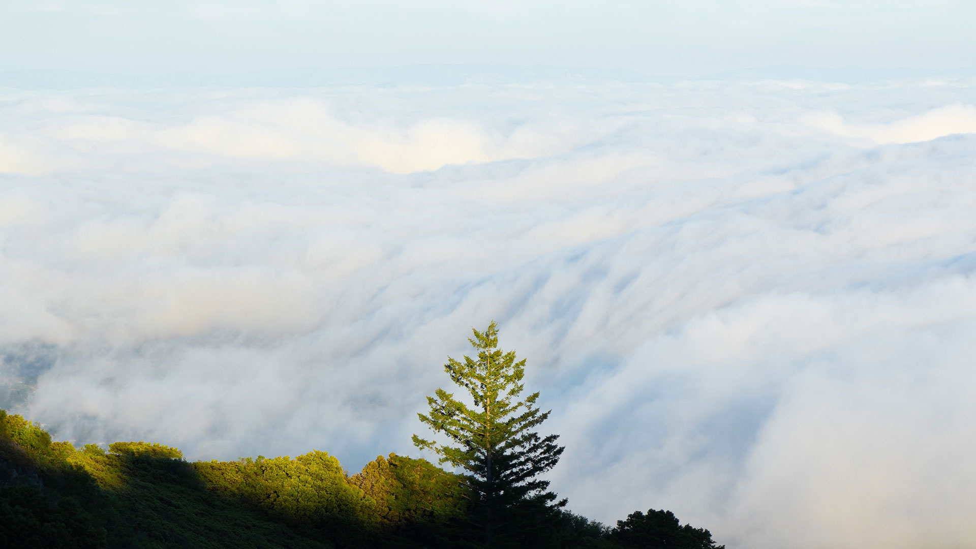 Mi corazón, examina hoy - Iglesia Bíblica Las Condes